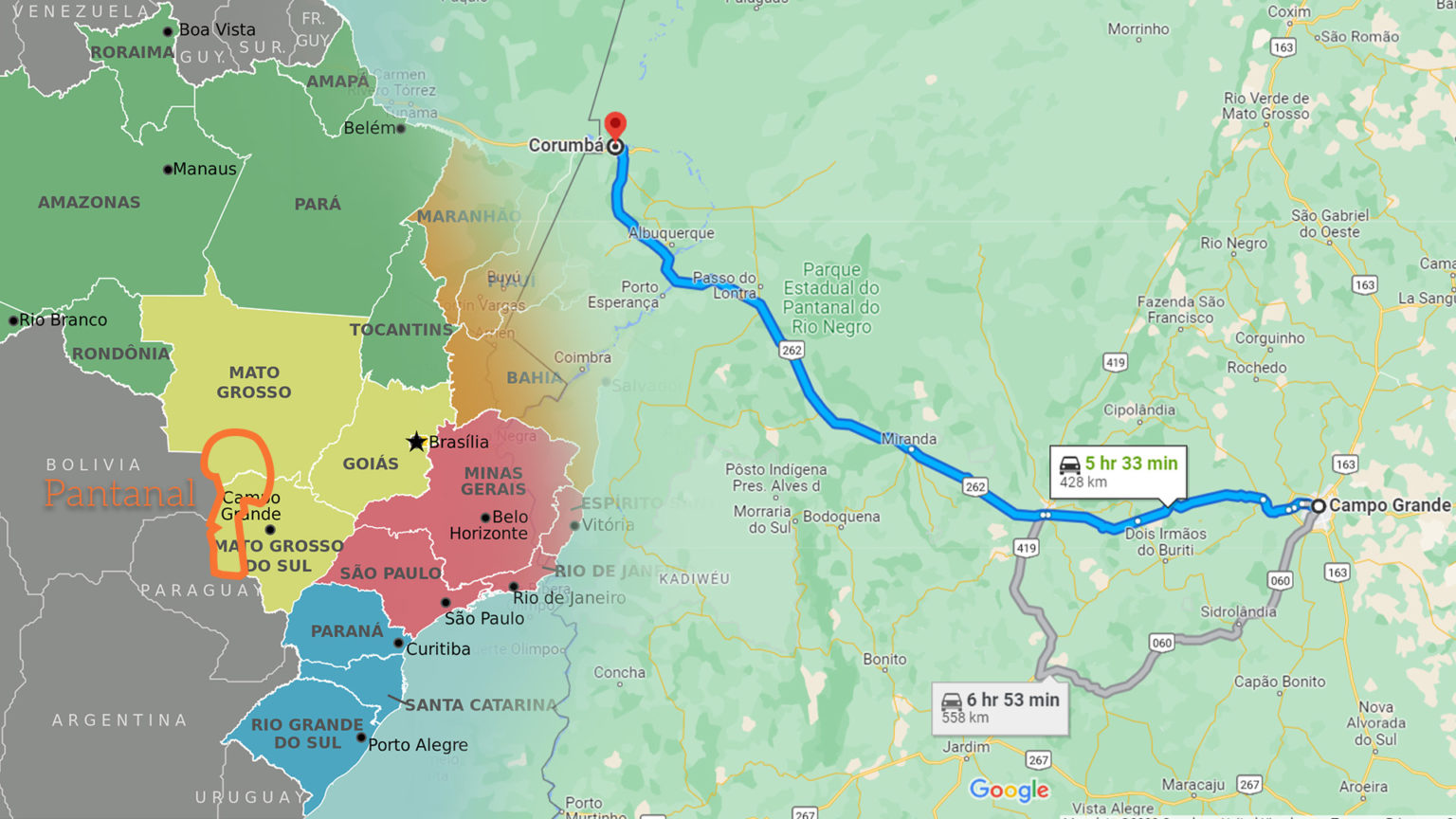 Pantanal in Brazil – a travel guide for Pantanal tourism