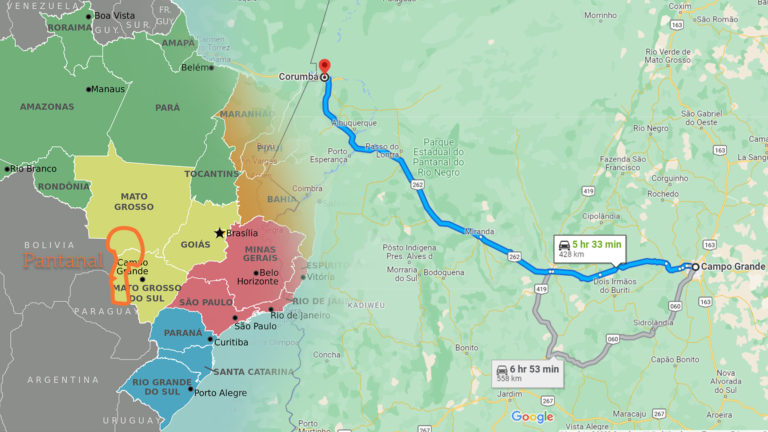 Pantanal in Brazil – a travel guide for Pantanal tourism